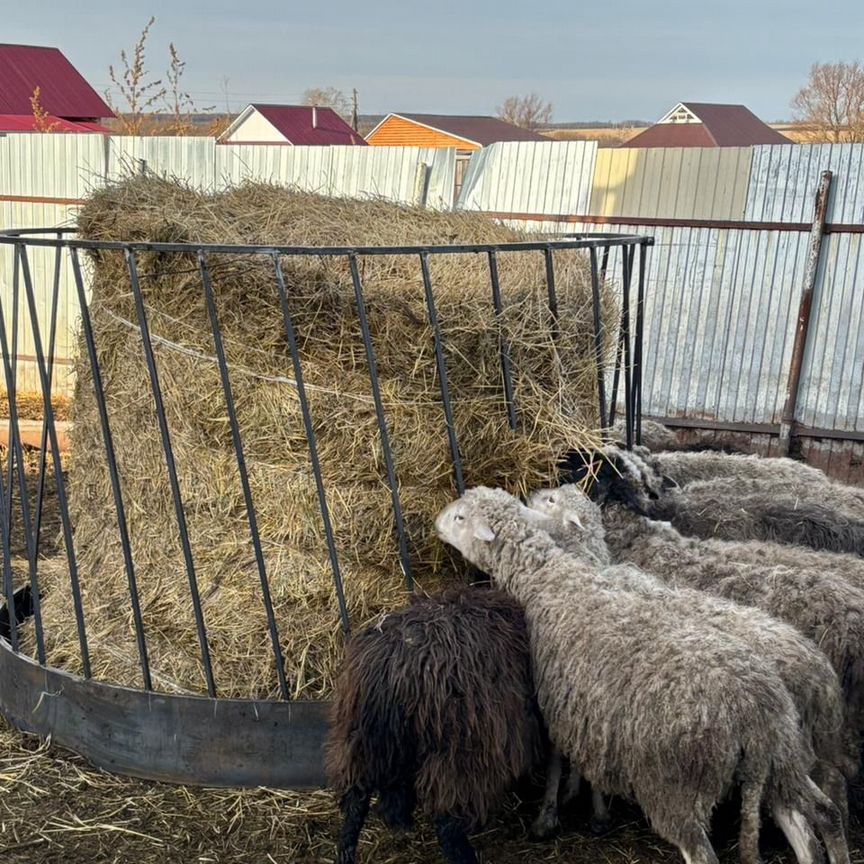 Кормушка ,высота 1,5-д 1,8,можно для овец 1,5/1,5