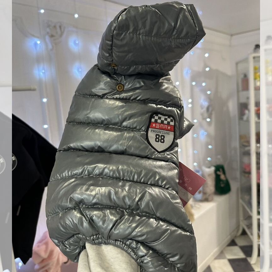 Одежда для собак