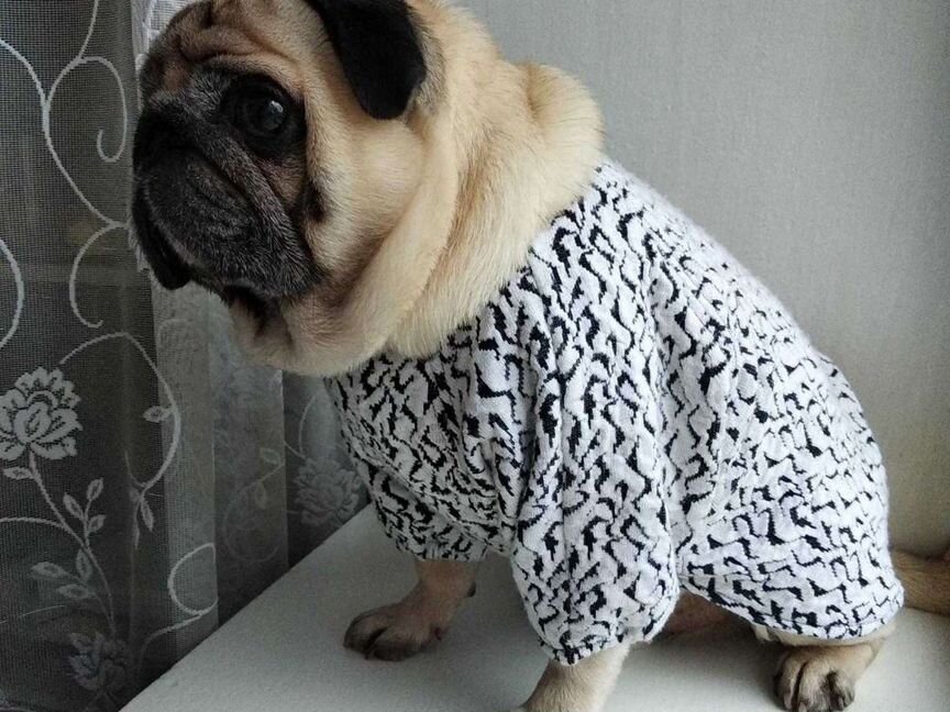 Попона для собаки