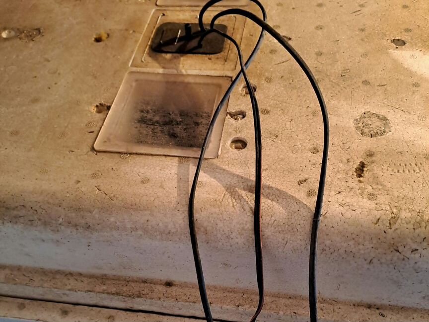 Инкубатор для яиц