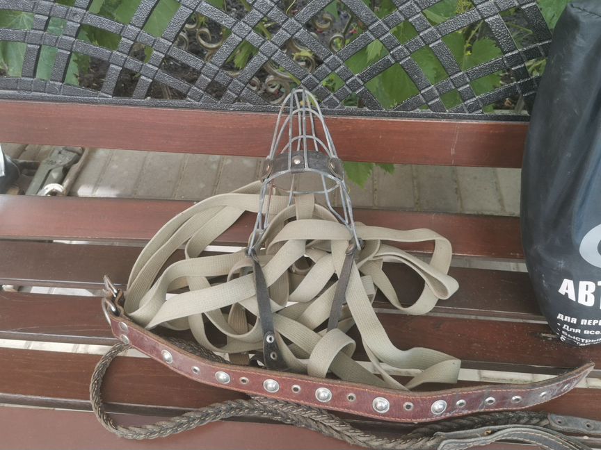 Намордник, поводок, ошейник, миски