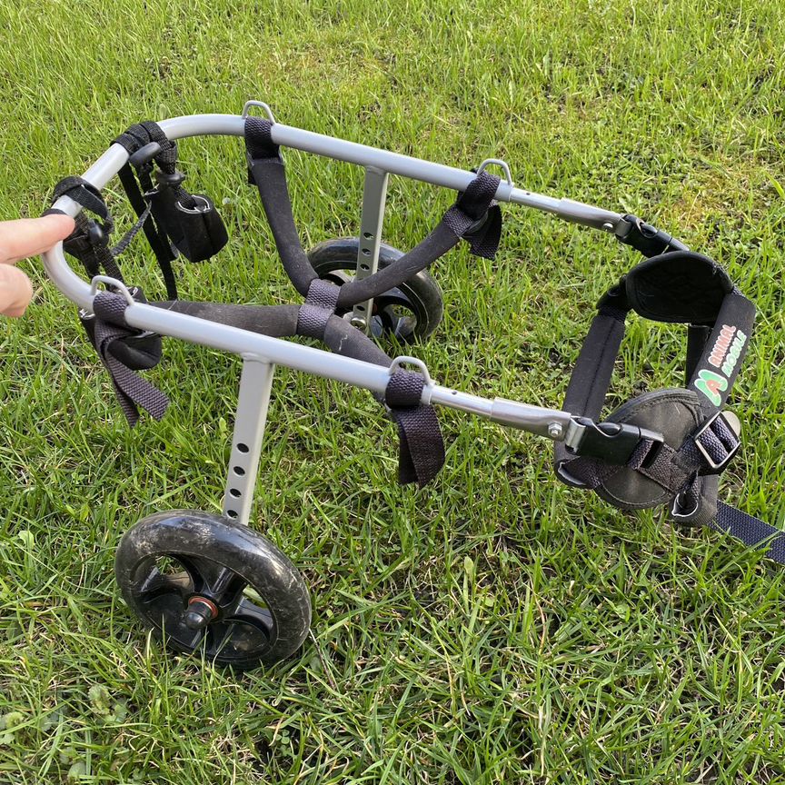 Инвалидная коляска для маленьких собак