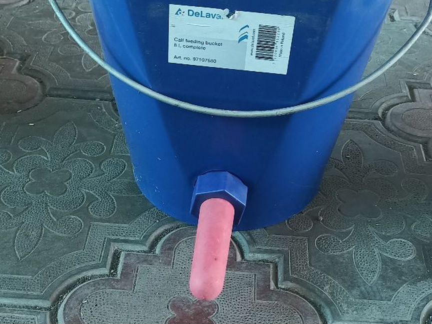 Ведро для поения телят с соской