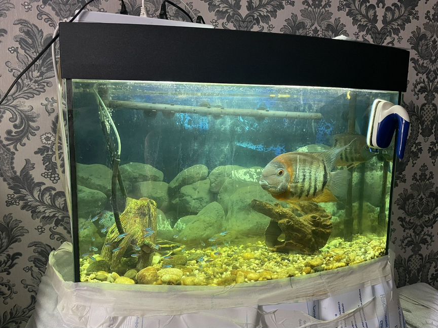Аквариум 130 литров