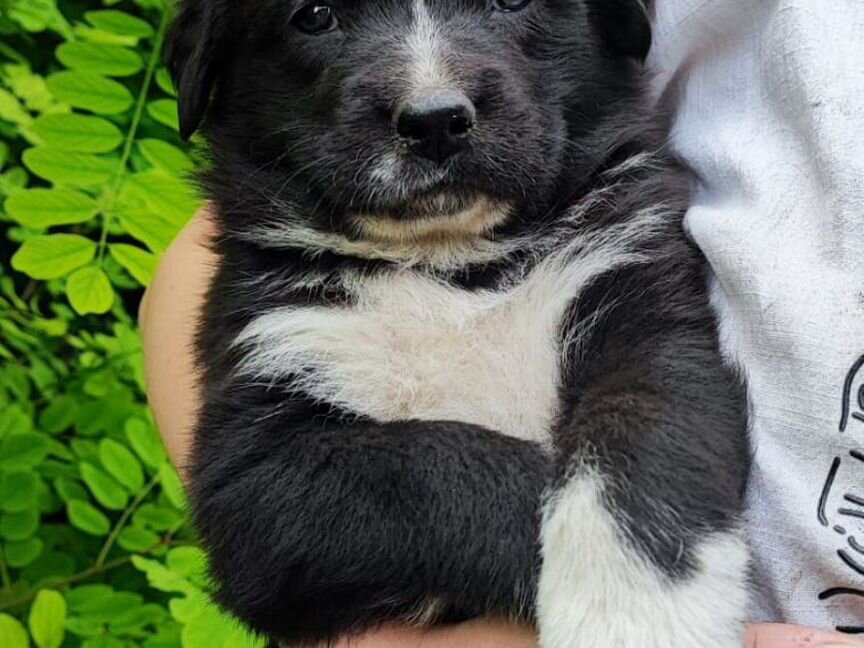 Я вырасту большой и красивой