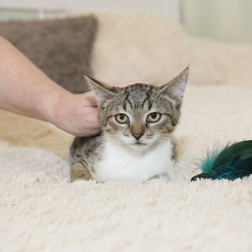 Машенька ласковая и добрая подросток