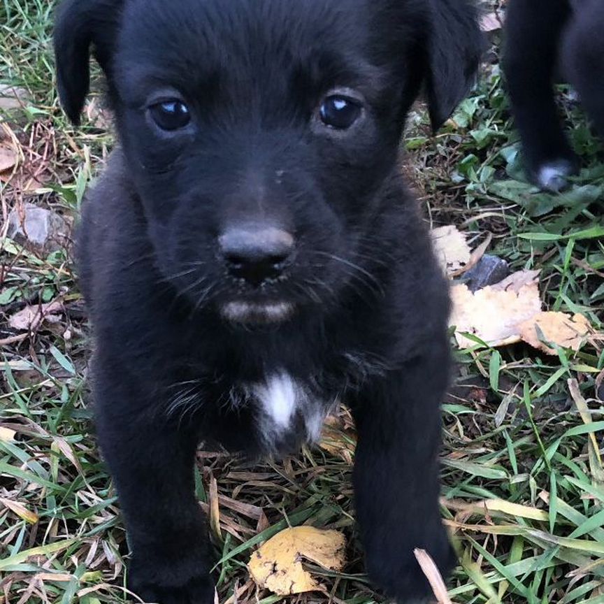 Будущие отважные ребята