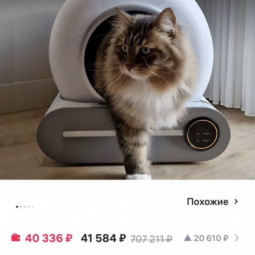 Кошачий туалет умный