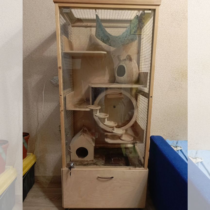 Отдам бесплатно витрину для шиншиллы