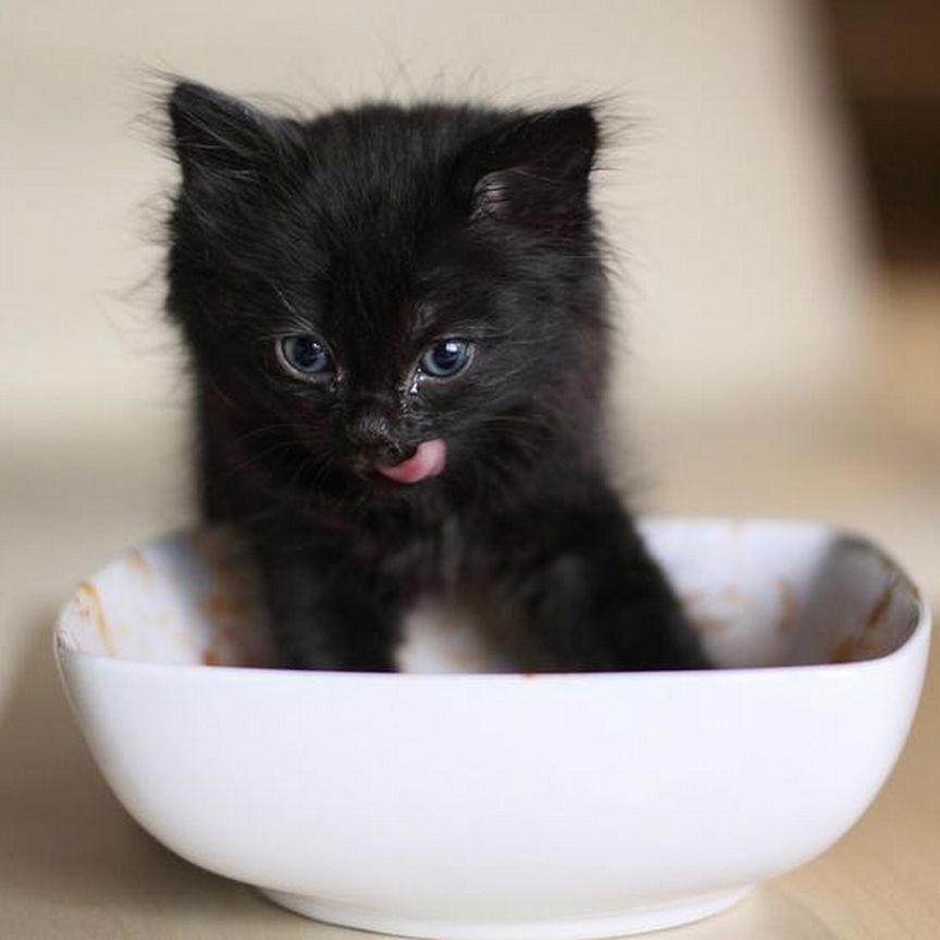 Просто девочка 3 мес