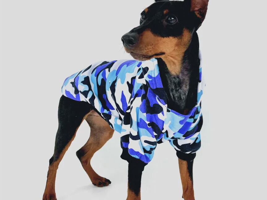 Толстовка-худи для собак и кошек, с капюшоном