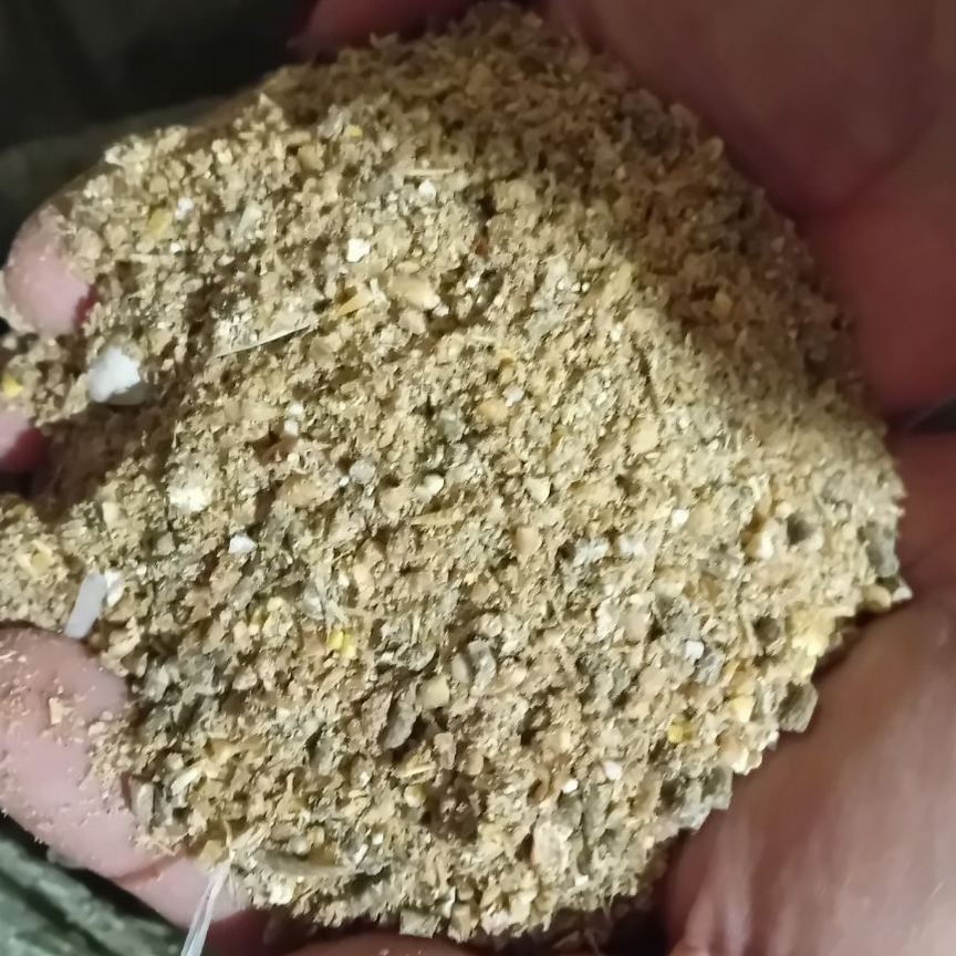 Корм для курей