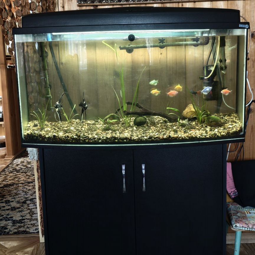 Аквариум с тумбой 150 л