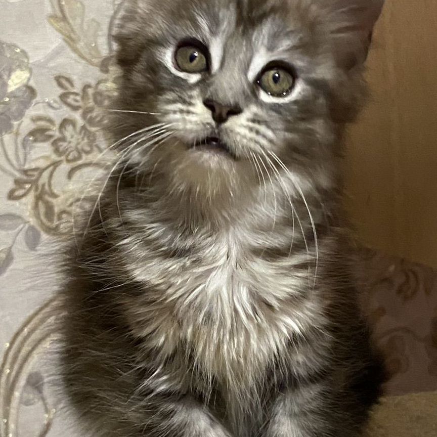 Милая милашка