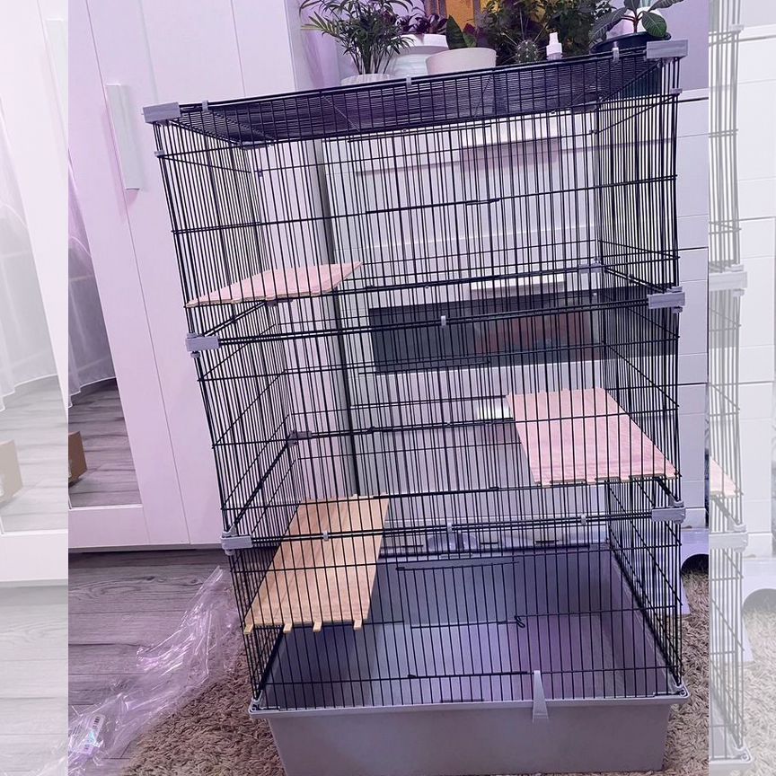 Клетка для крыс