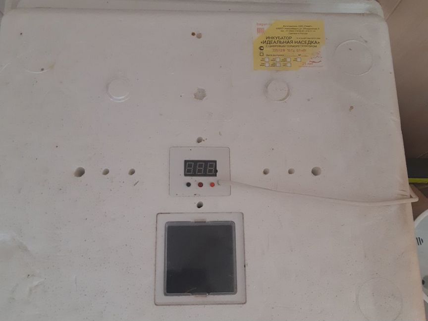 Инкубатор на 63 яйца