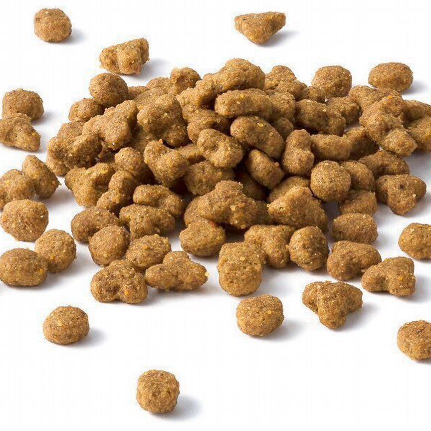 Кошачий корм