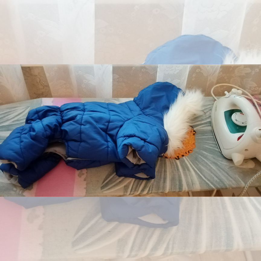 Зимний комбинезон для маленькой собаки
