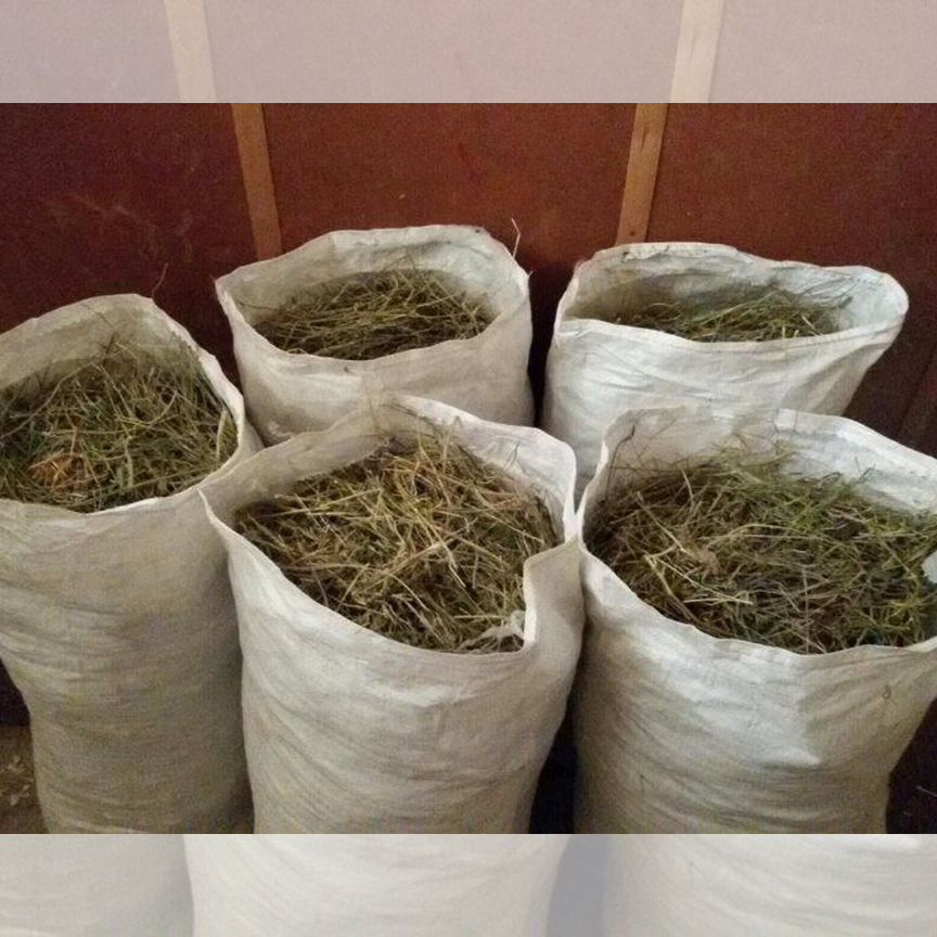 Сено в мешках с доставкой