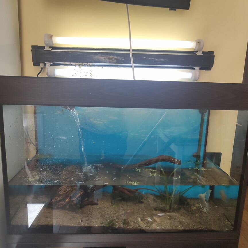 Отдам бесплатно аквариум 100 л