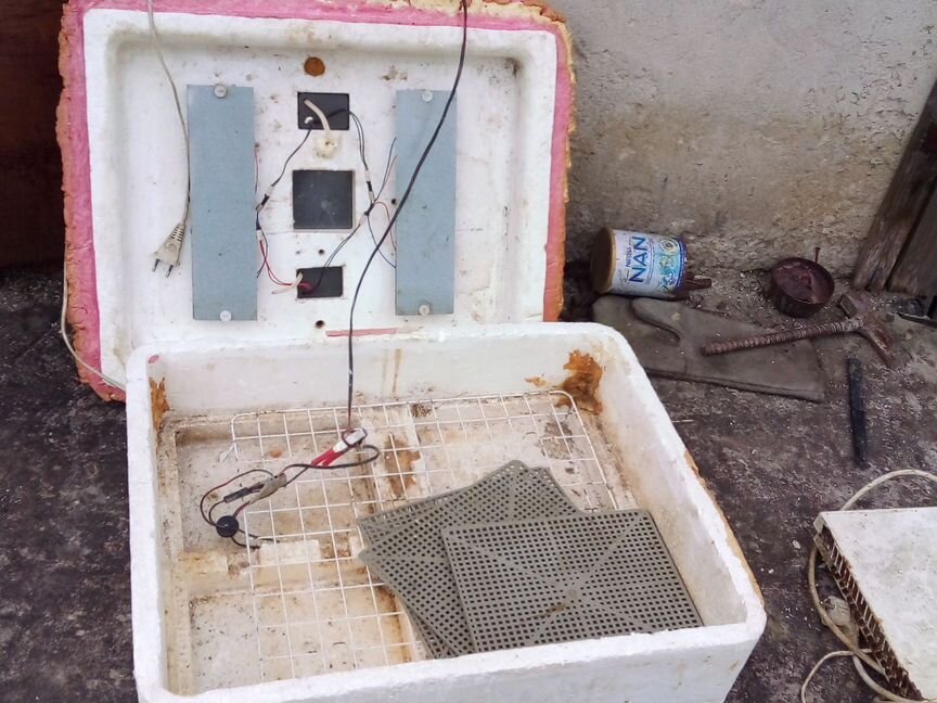 Инкубатор для яиц и свет