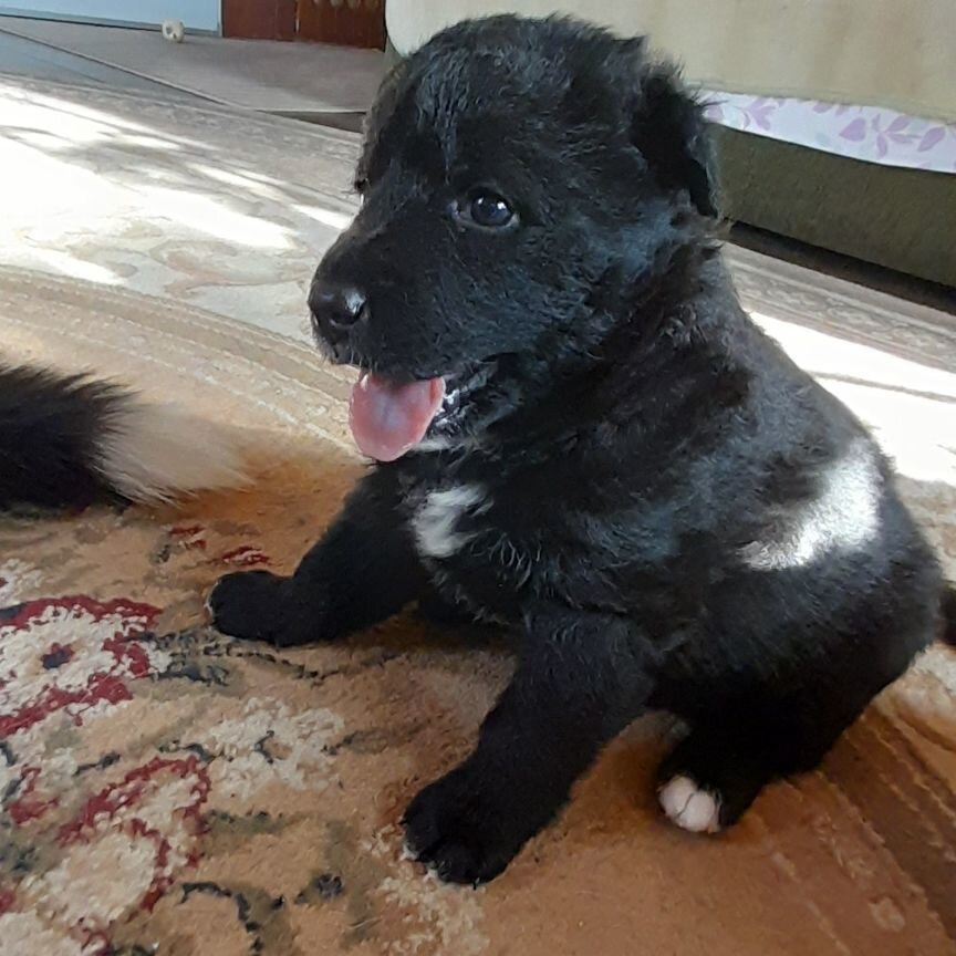 Малыши с голубыми глазами