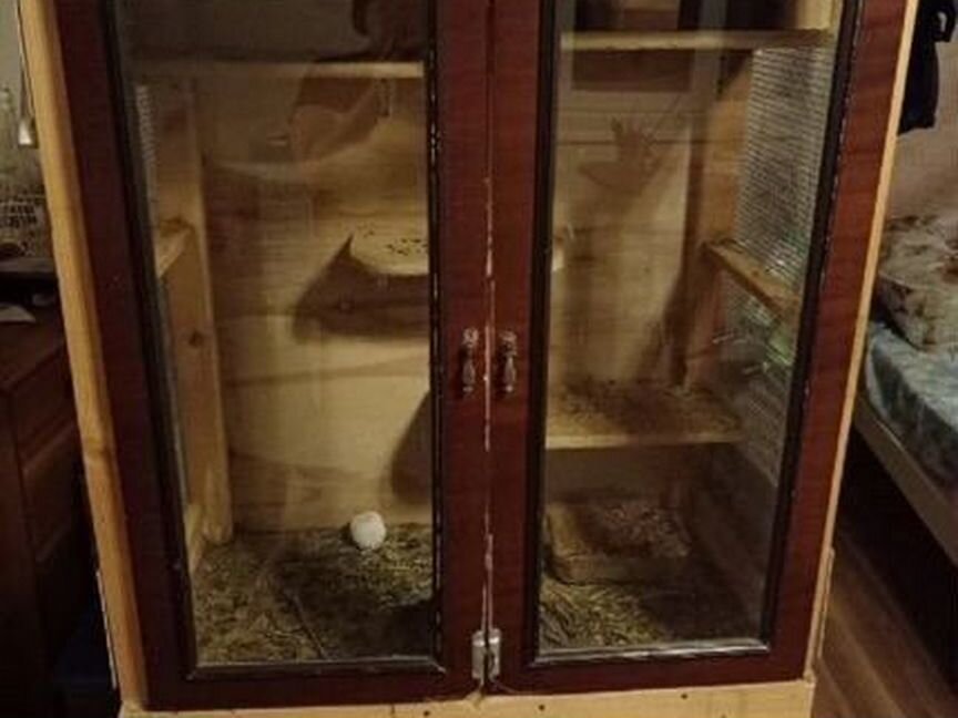 Клетка витрина для шиншиллы бу