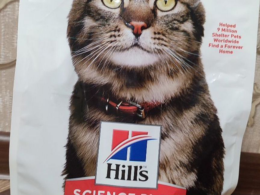 Кошачий сухой корм Hills