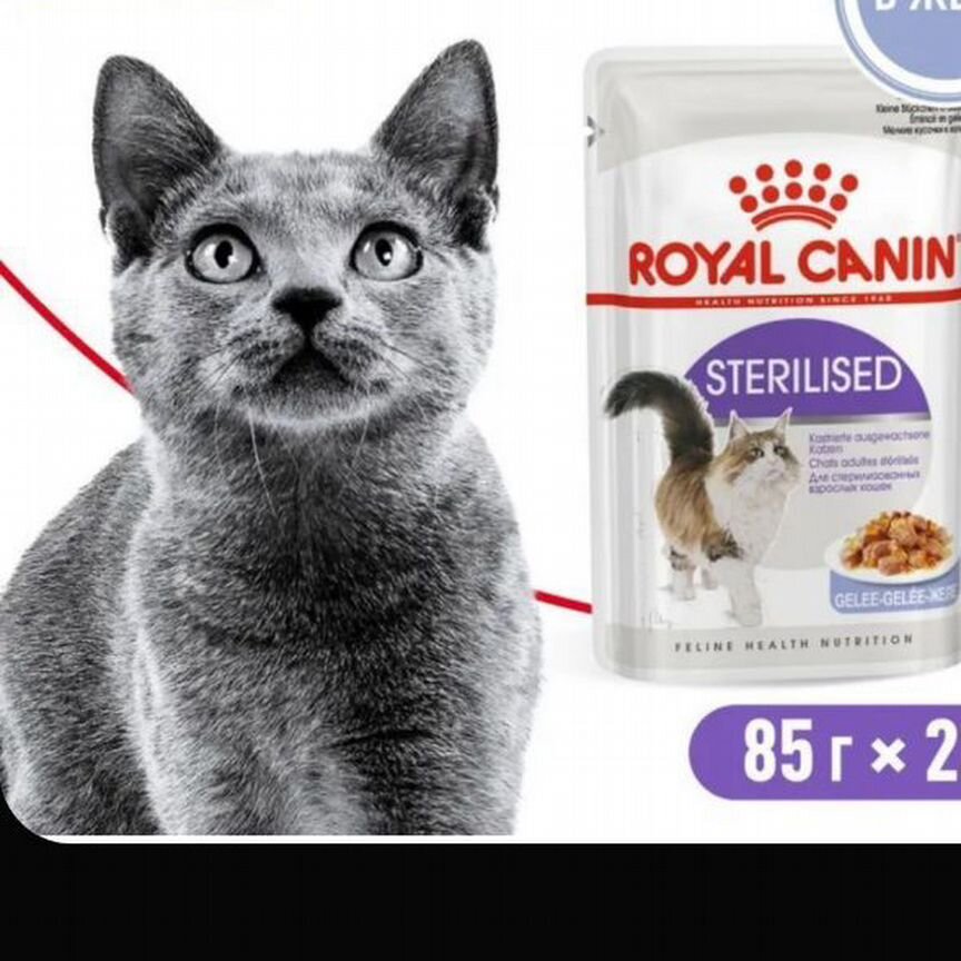 Корм для кошек royal canin sterilised влажный