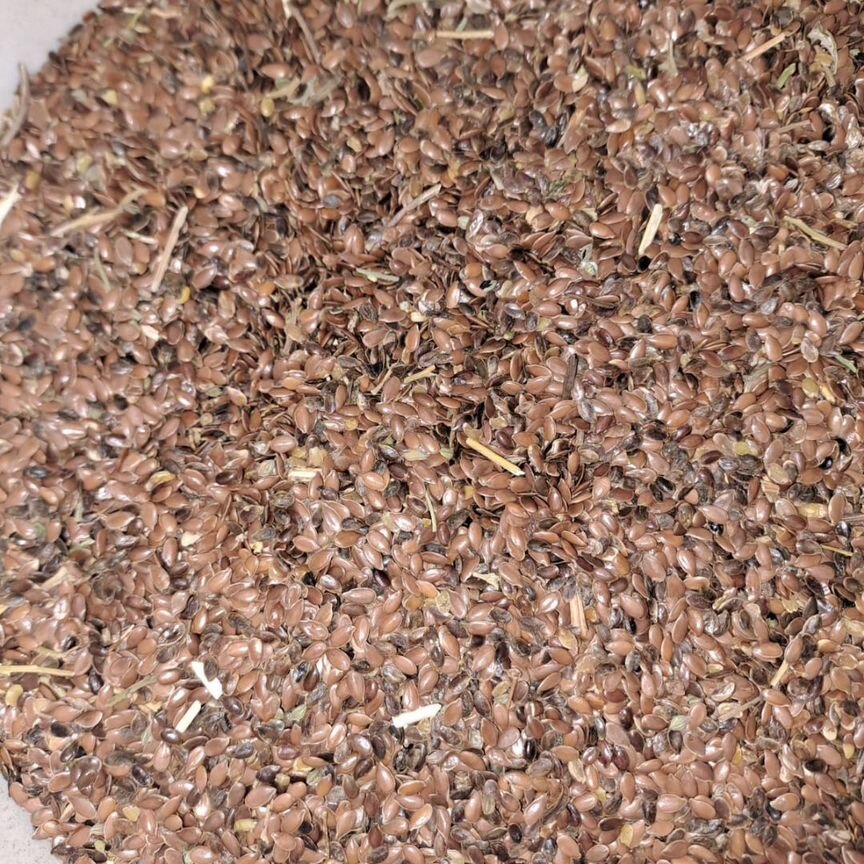 Отходы семян льна