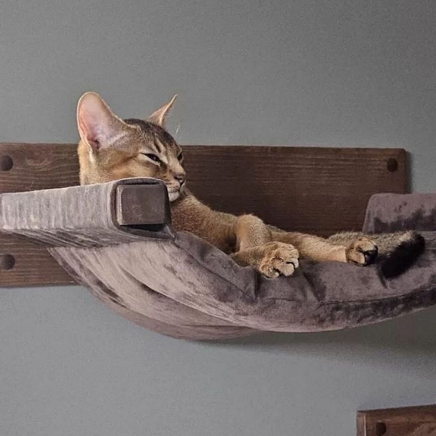 Гамак для кошек