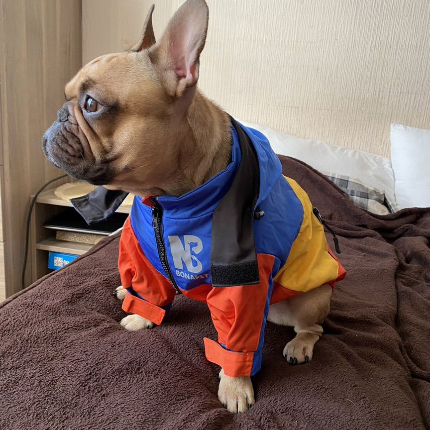 Вязка французский бульдог