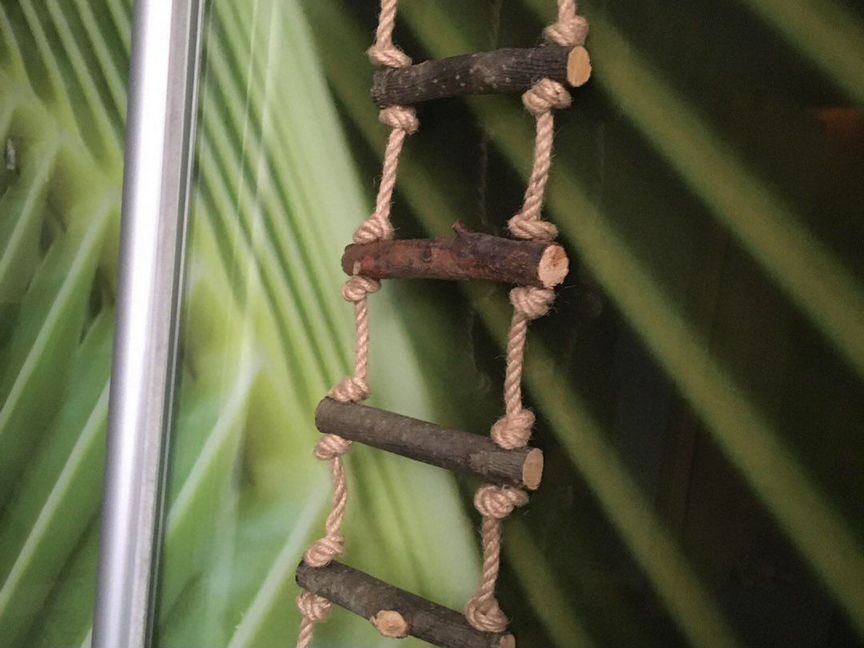 Игрушка для попугаев(лесенка)