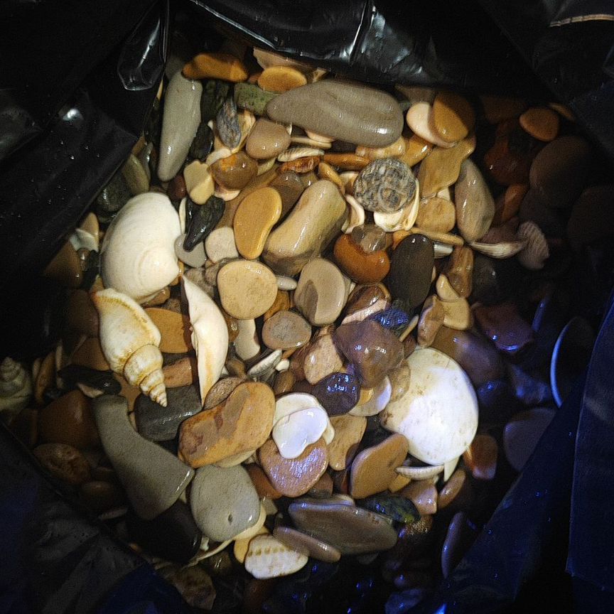 Грунт для аквариума