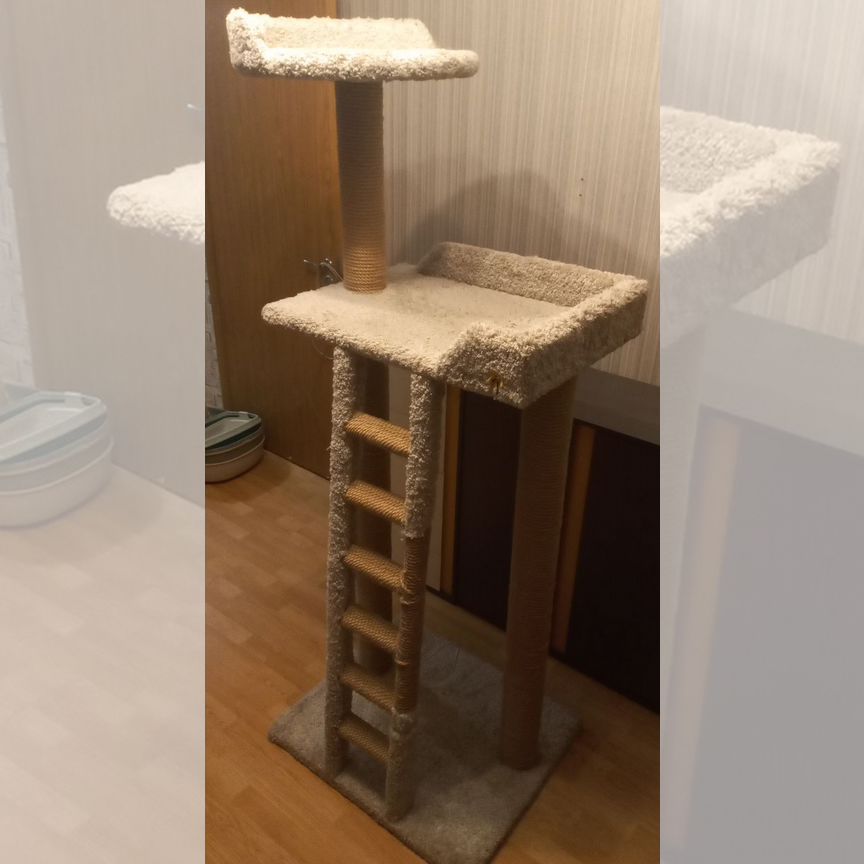 Комплекс для крупных пород котов