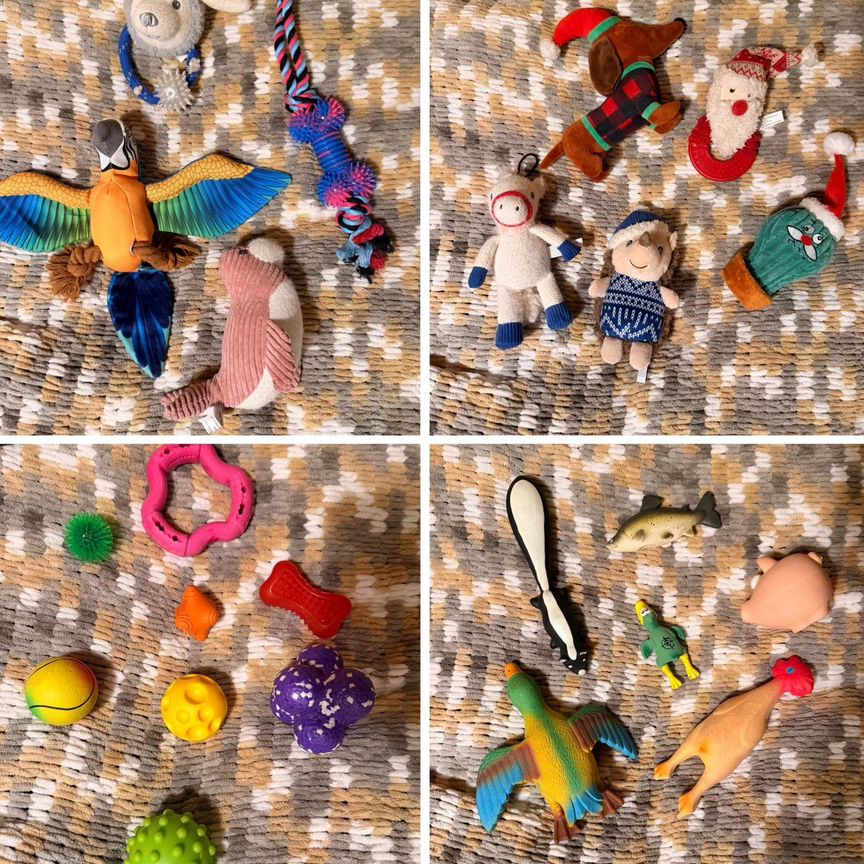 Игрушки для собак