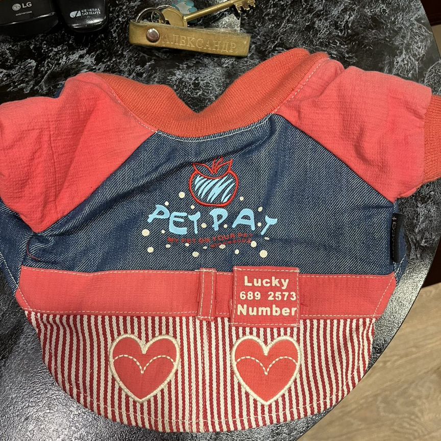 Кофточка для собаки чихуа