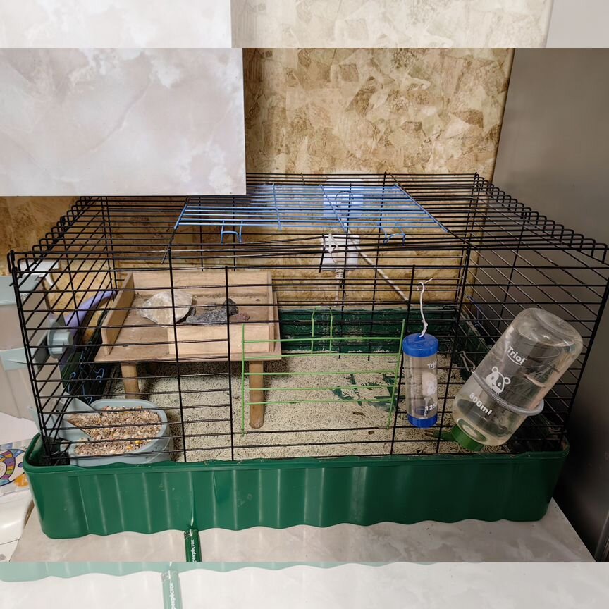 Клетка для морской свинки 75*45*45