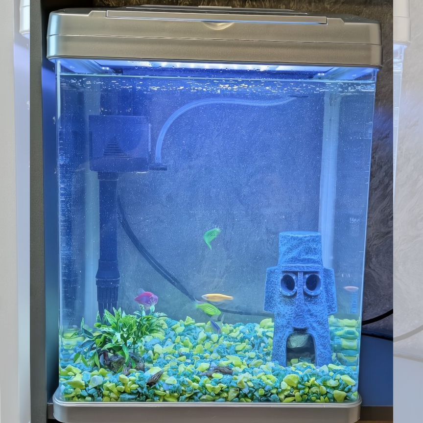 Аквариум с рыбками