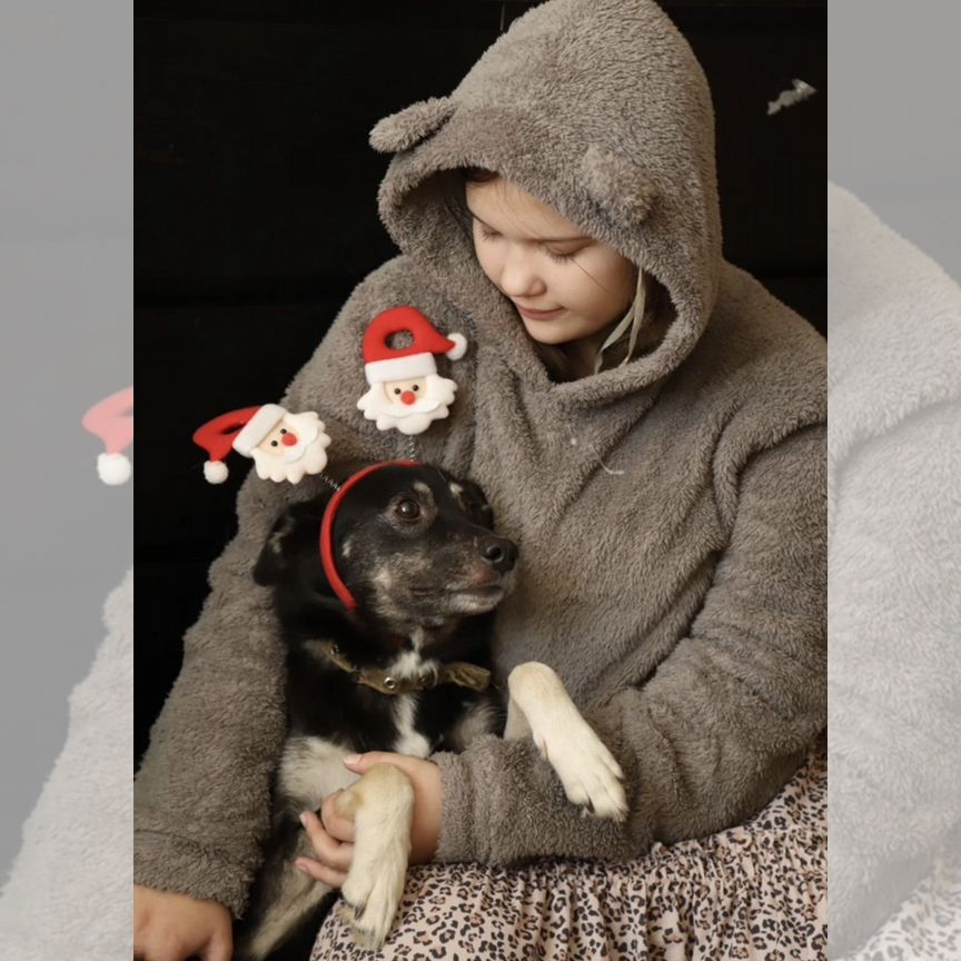 Милая собачка Розочка