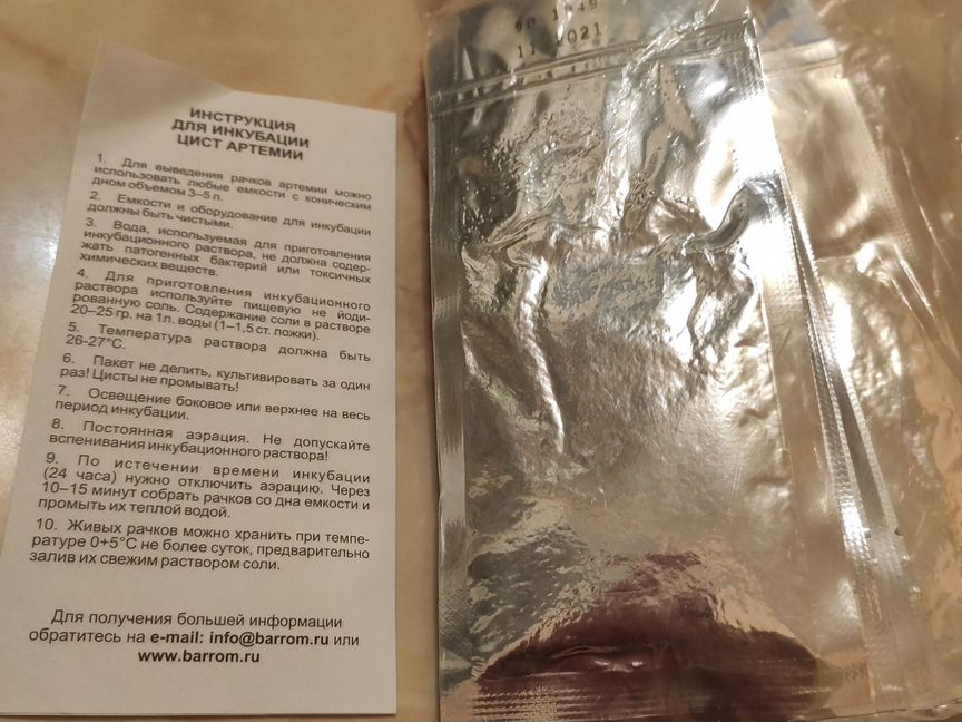 Артемия цисты