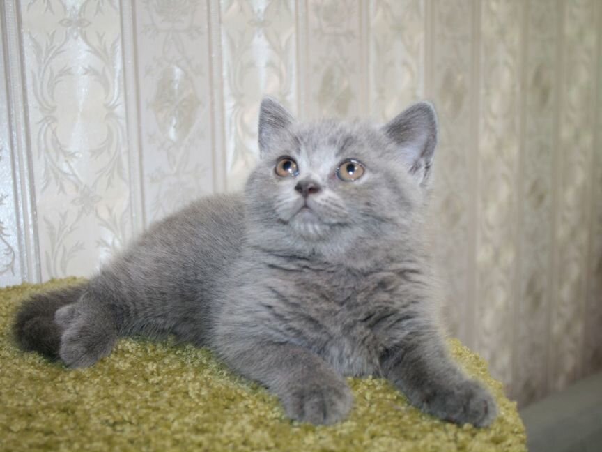 Умные и красивые