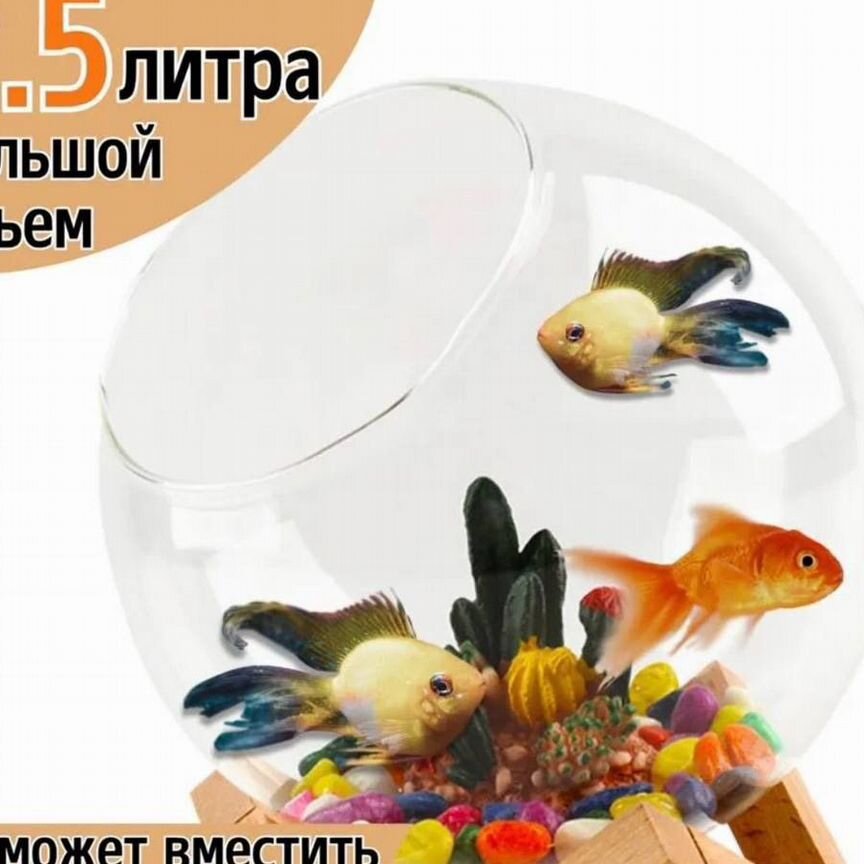Маленький настольный аквариум на 2,5 л