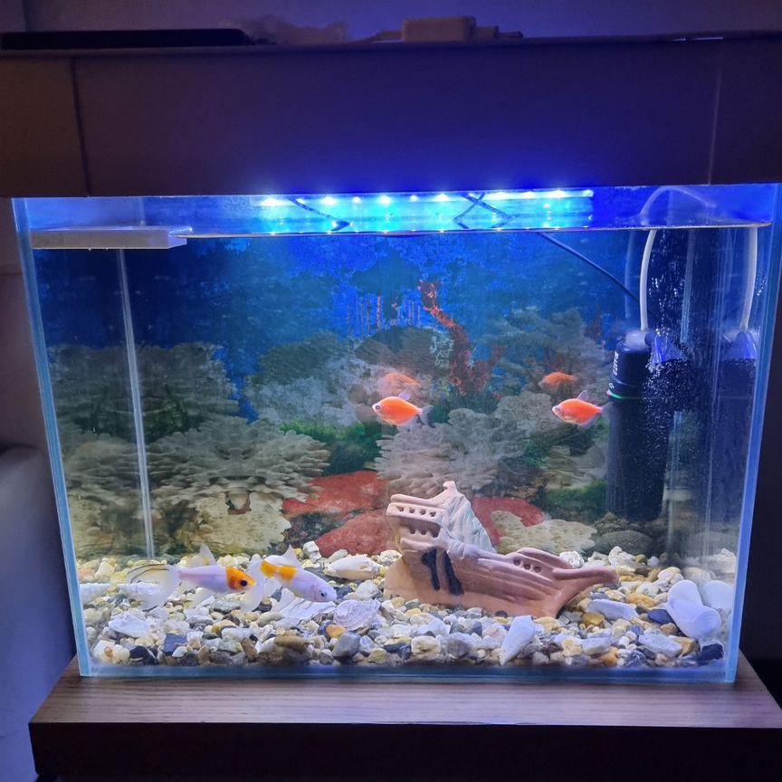 Аквариум на 75 литров (продаю все вместе)