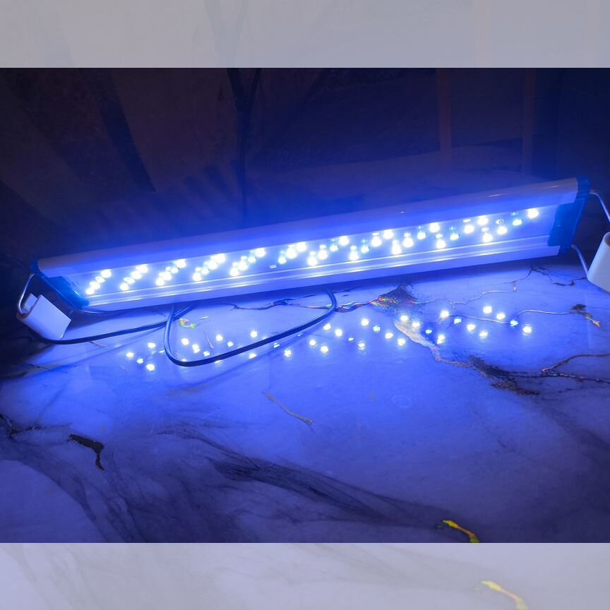 Лампа для аквариума или террариума