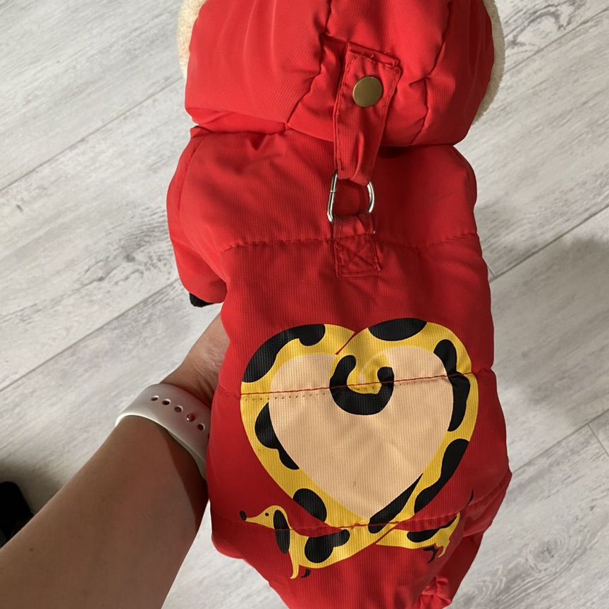 Вещи для собаки мини породы