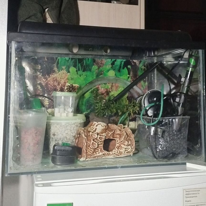 Аквариум 65 литров, комплект с рыбками