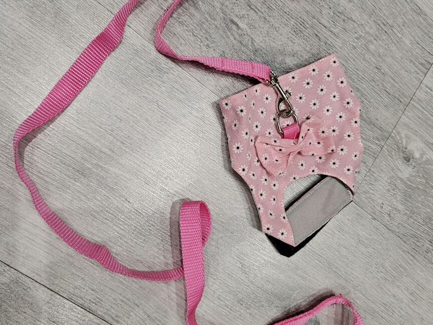 Поводок для кролика