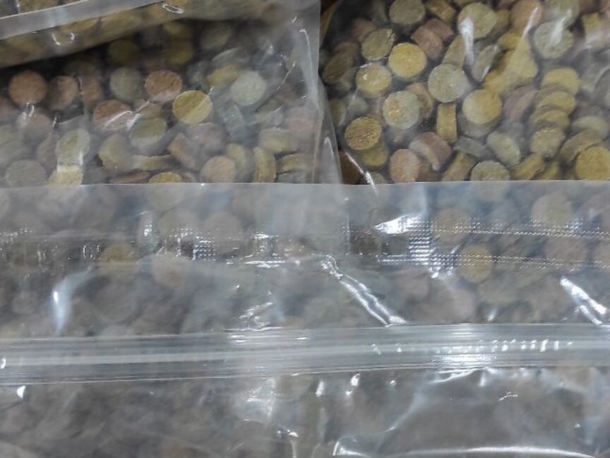 Таблетки для анциструсов и донных рыб