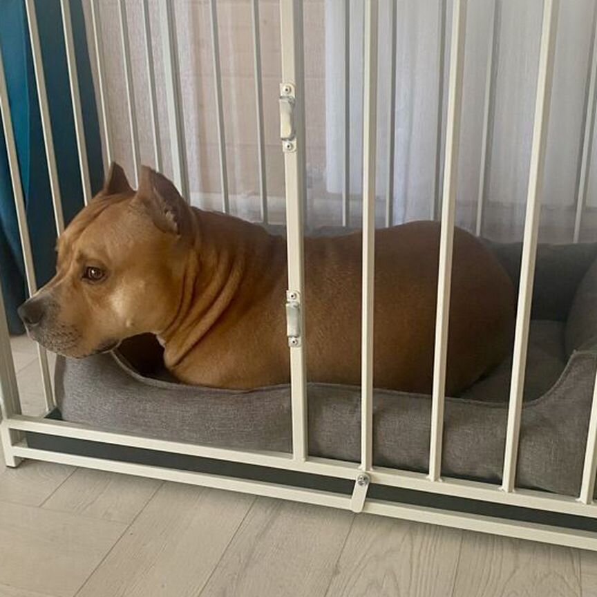 Клетка для собак